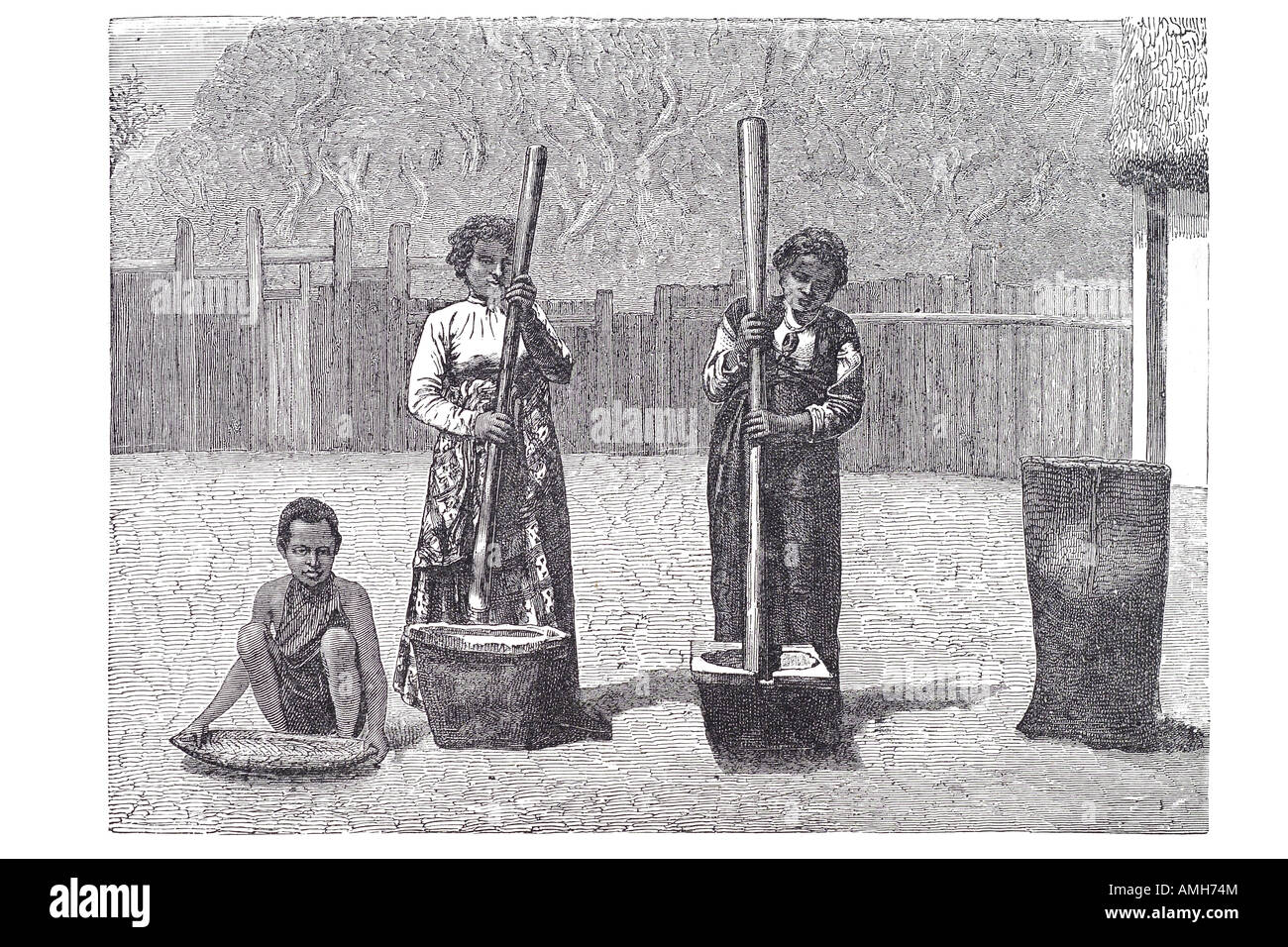 1880 Japan Japanese rice pounding agriculture staple diet farm work ...