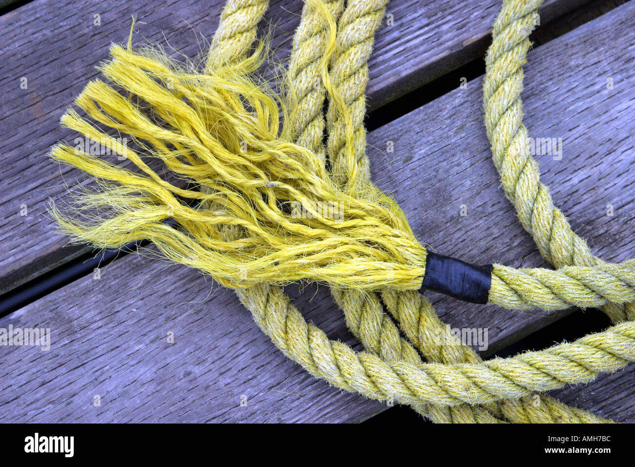 Frayed end of a yellow rope Stock Photo - Alamy