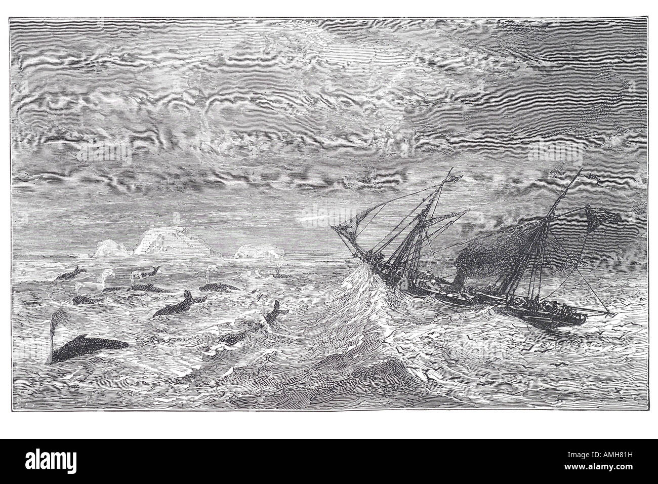 Bering sea Steam steamer steamship whale whaler hunt behring Imarpik ...