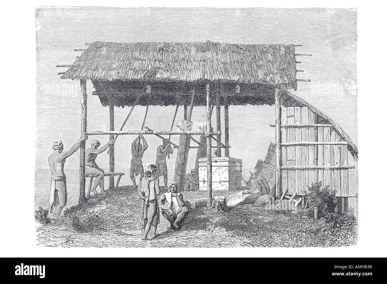 dyak building house Dayak, a native tribe of Borneo construct ...