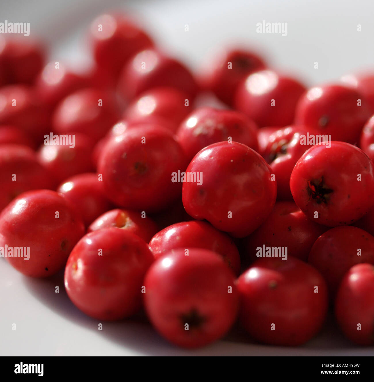 Redberries hi-res stock photography and images - Alamy
