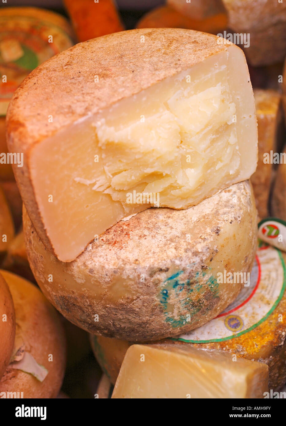 Display of Typical Italian cheese, Central Market, Florence, Italy ...