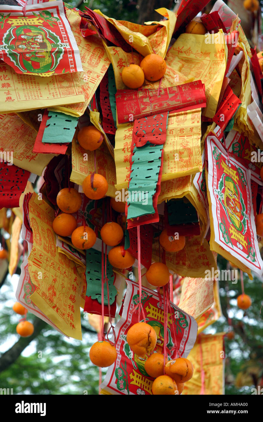 Tai po hong kong wishing tree hi-res stock photography and images - Alamy