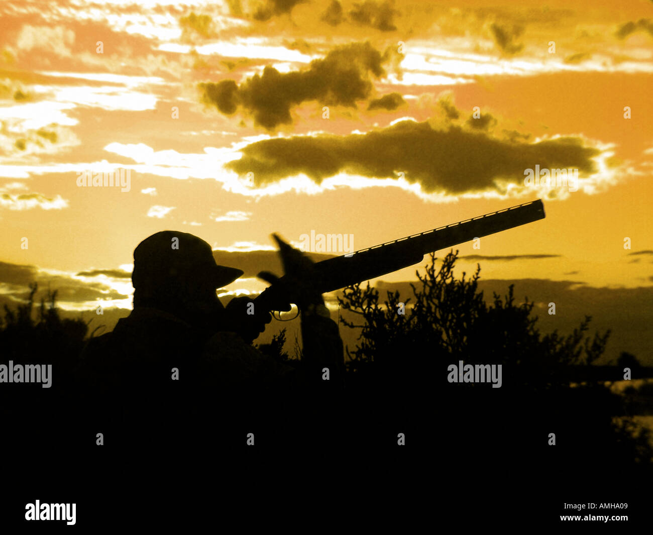 Duck Hunting Sunrise Stock Photo - Alamy