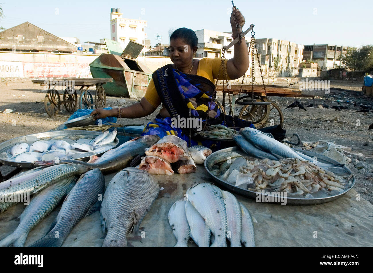 An Indian woman selling fresh fish on the road in Navsari, Gujarat ...