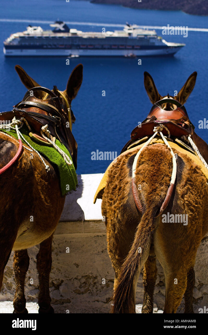 Did they leave a tip Stock Photo - Alamy