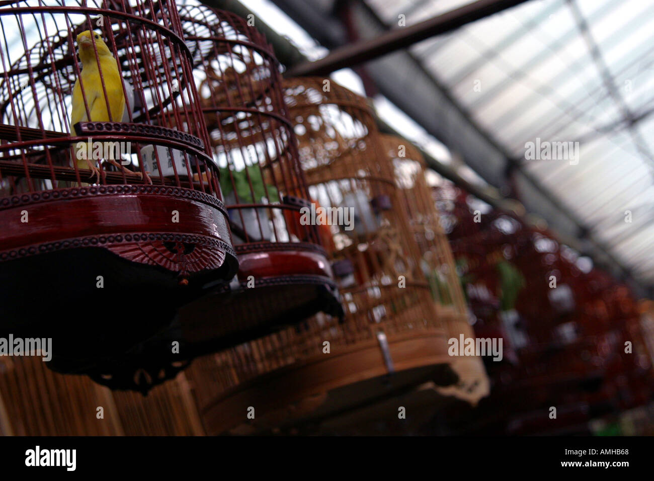Insect market shanghai hi-res stock photography and images - Alamy
