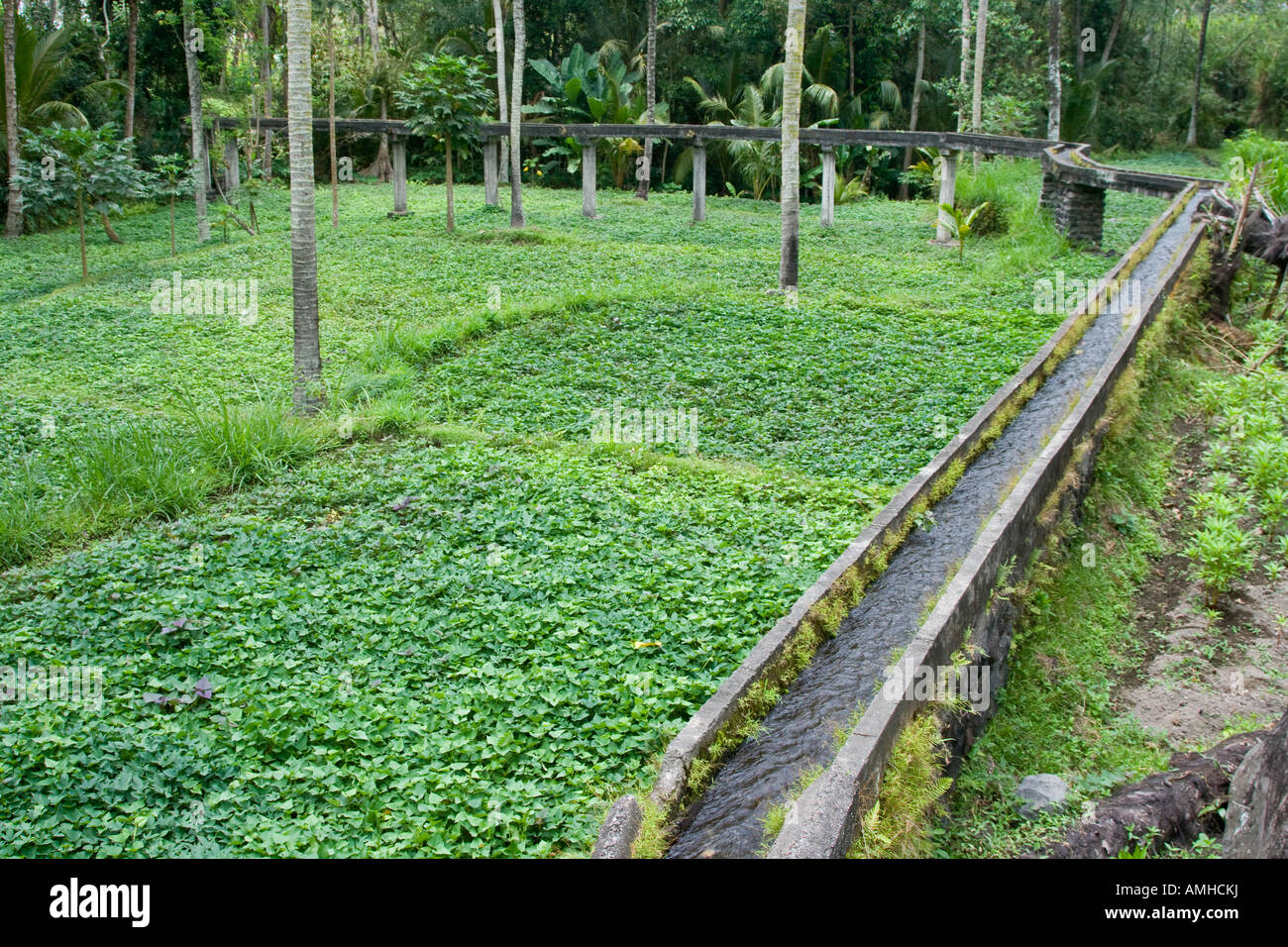 Irrigation Aqueduct Bali Indonesia Stock Photo - Alamy