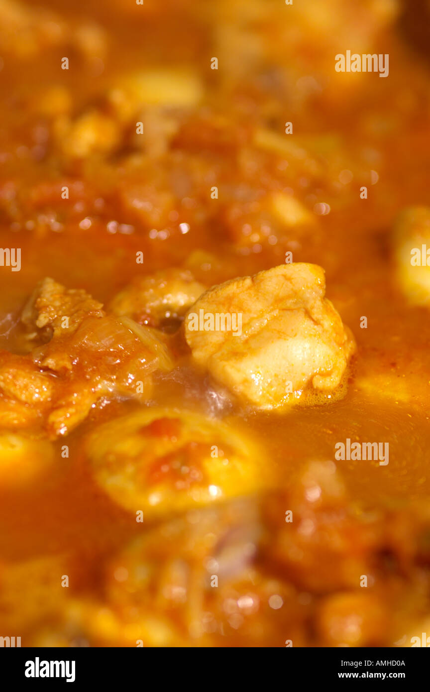 Indian food spicy chicken hi-res stock photography and images - Alamy