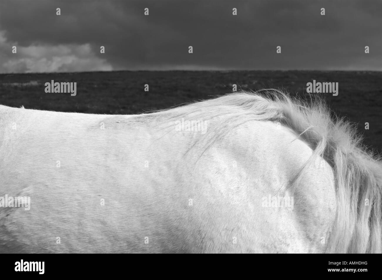 South curve Black and White Stock Photos & Images - Alamy