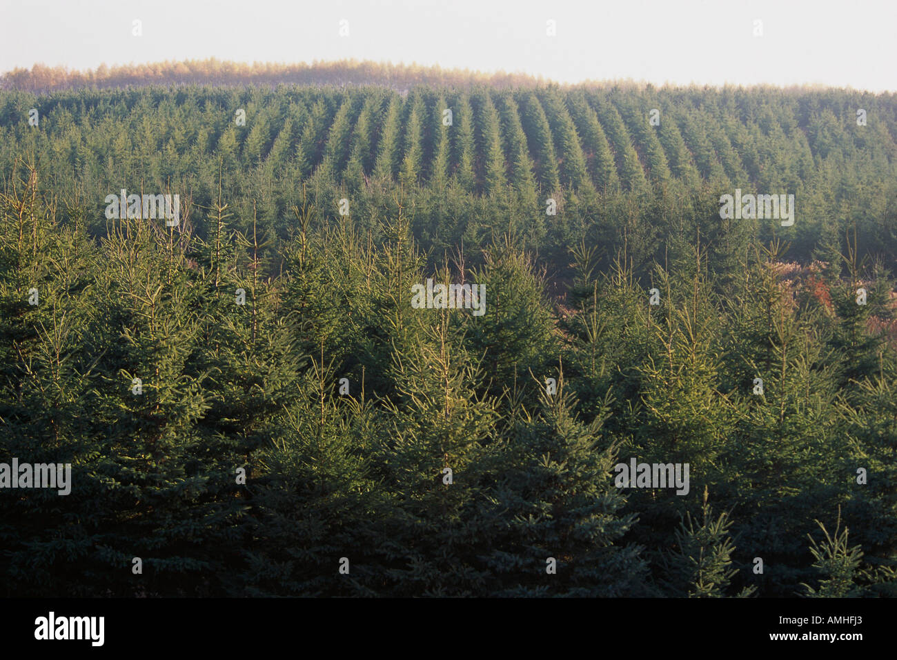 Barrie landscape hi-res stock photography and images - Alamy