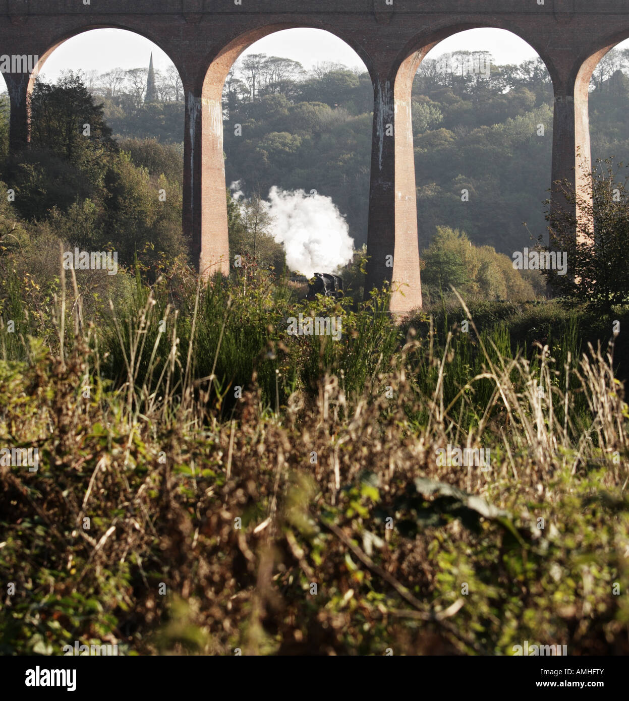 Steam train passing under the bridge at Whitby in Yorkshire,UK Stock ...