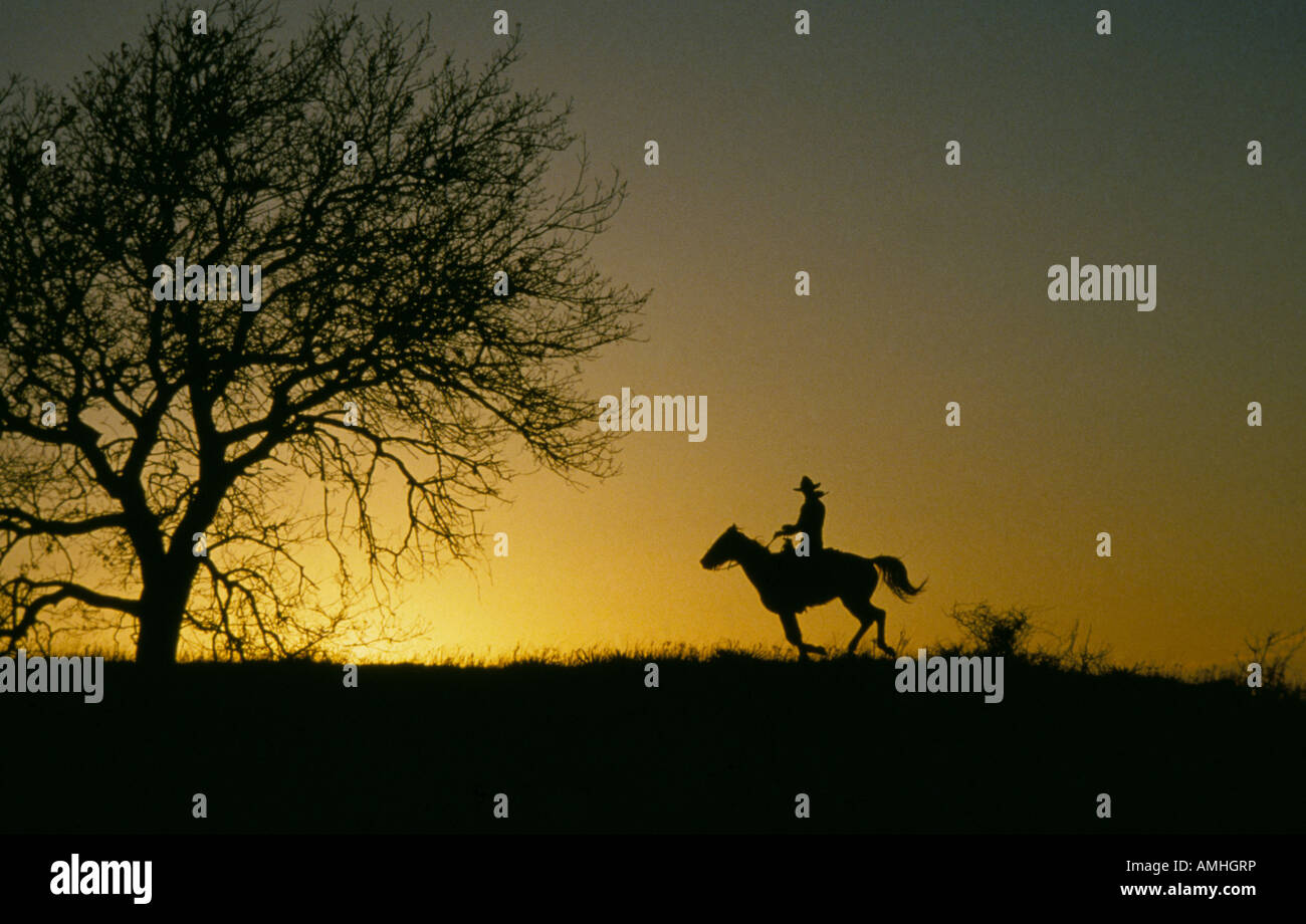 A cowboy and his horse at sunset on a large cattle ranch near Fort ...