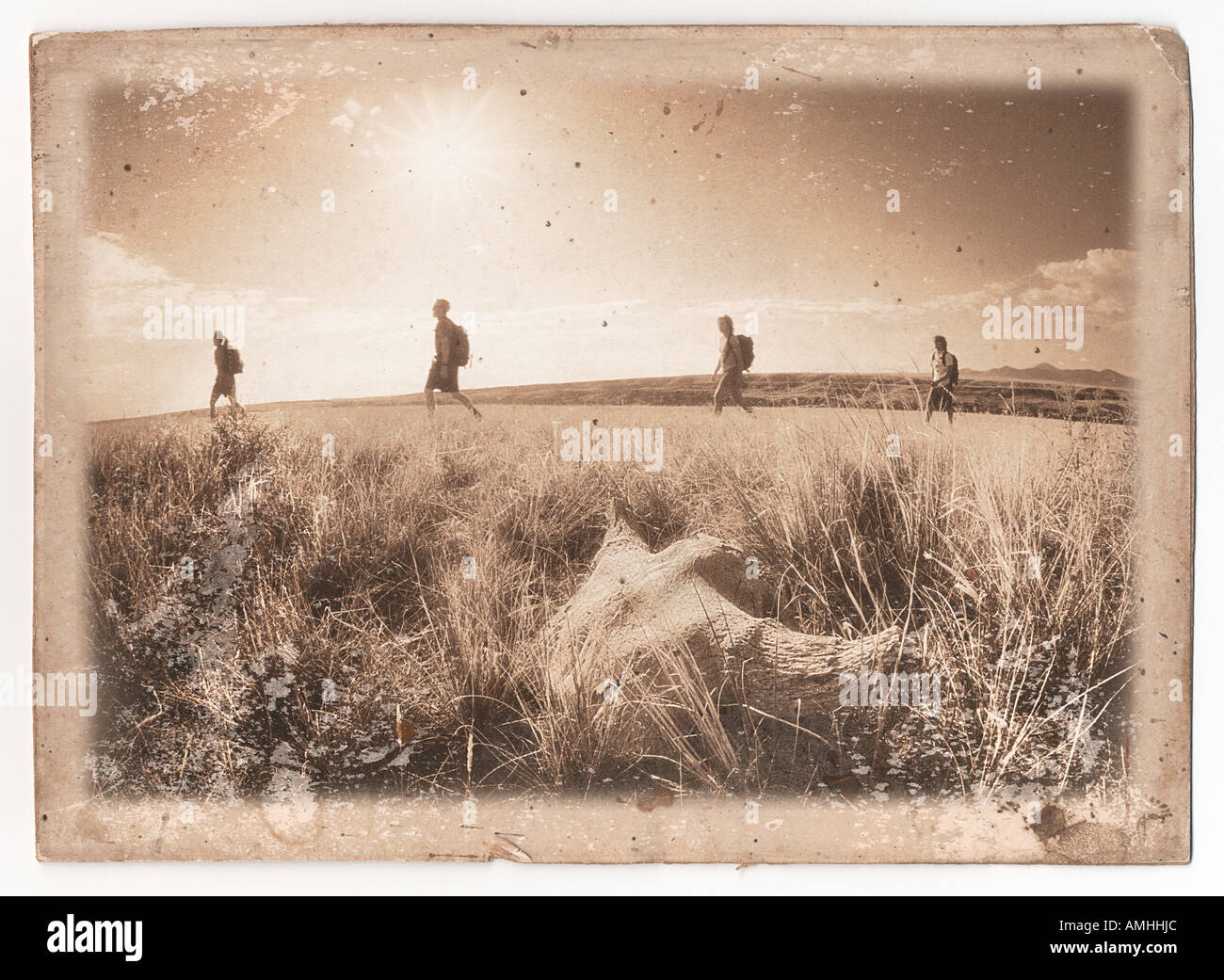 Lady tramp recreation hi-res stock photography and images - Alamy