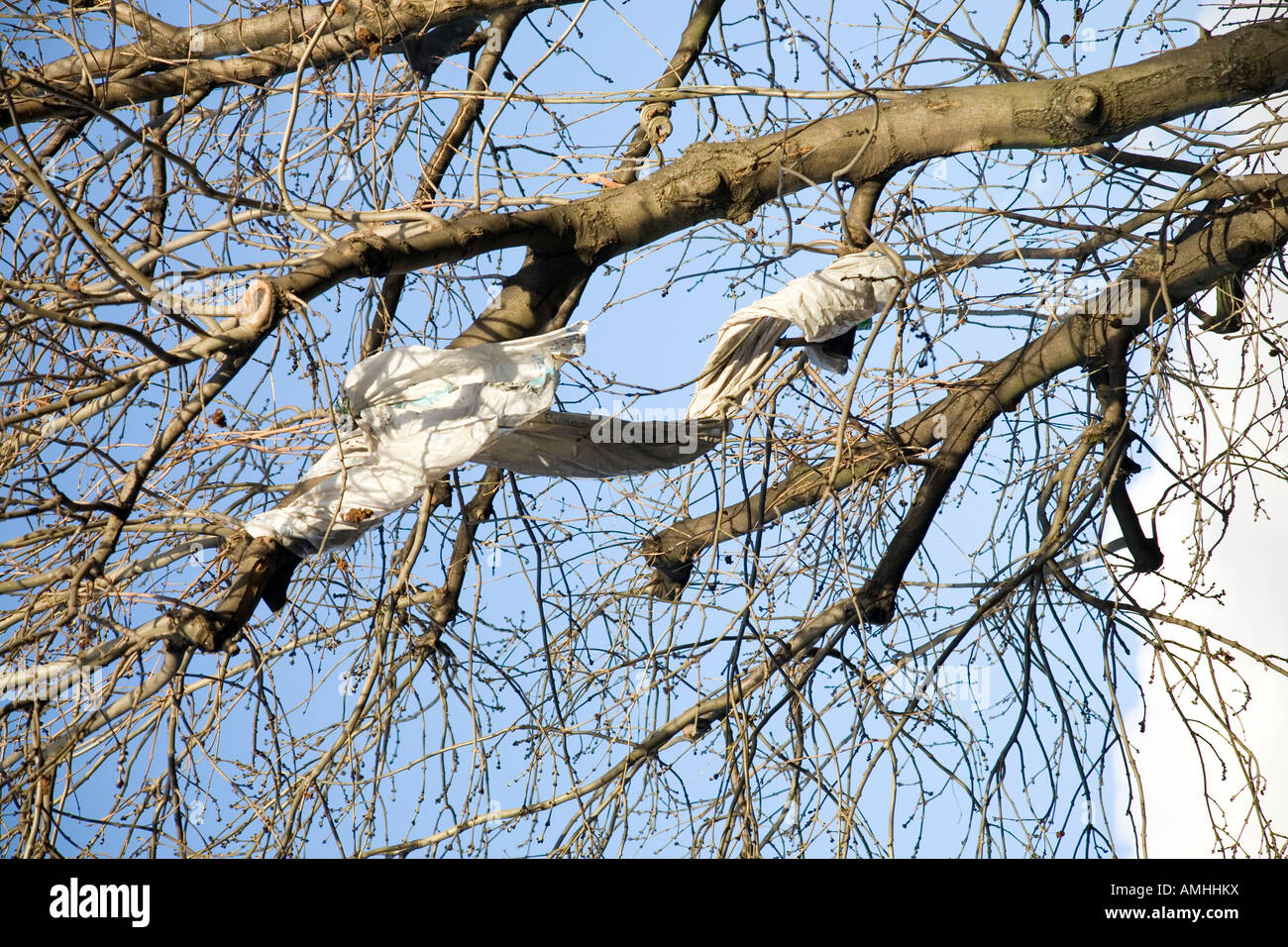 Plastic caught in trees hi-res stock photography and images - Alamy