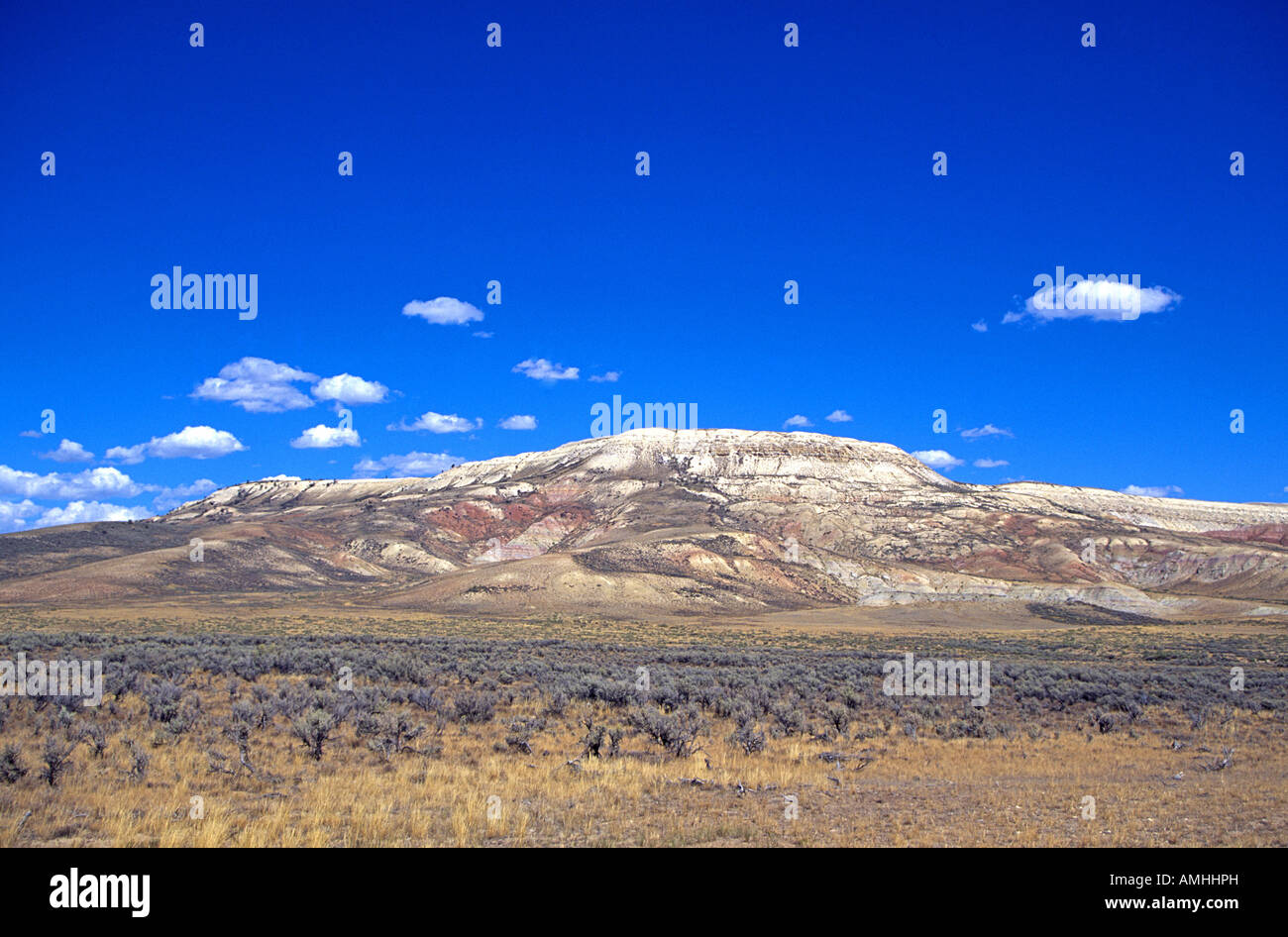 USA WYOMING Fossil Butte National Monument holds numerous plant and ...