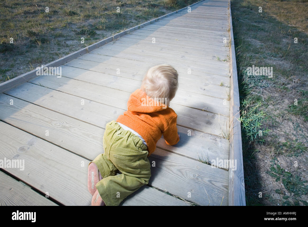 baby crawling away from camera on path Stock Photo - Alamy