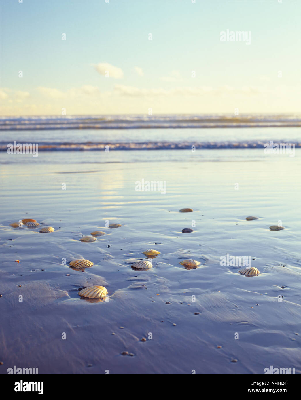 flat calm sea and foreshore looking out onto the atlantic ocean/sea ...