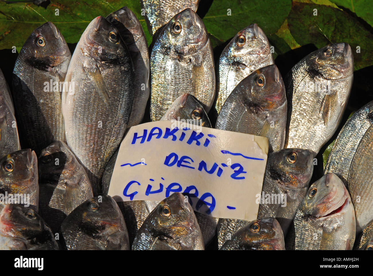 ISTANBUL, TURKEY. Fresh fish for sale at the fish market (balikcisi) in ...