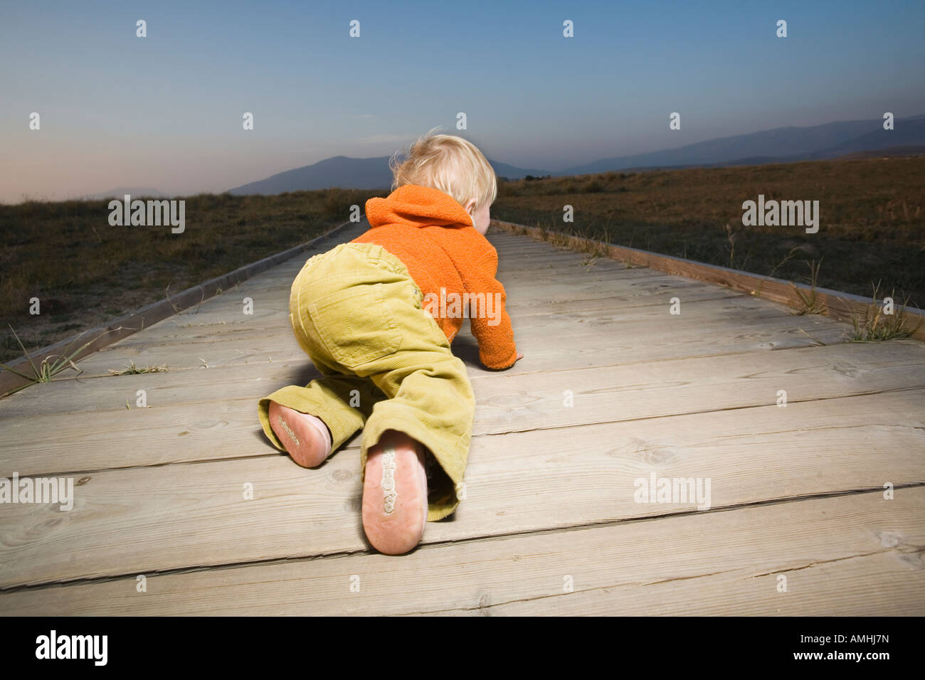 baby crawling away from camera in nature Stock Photo - Alamy