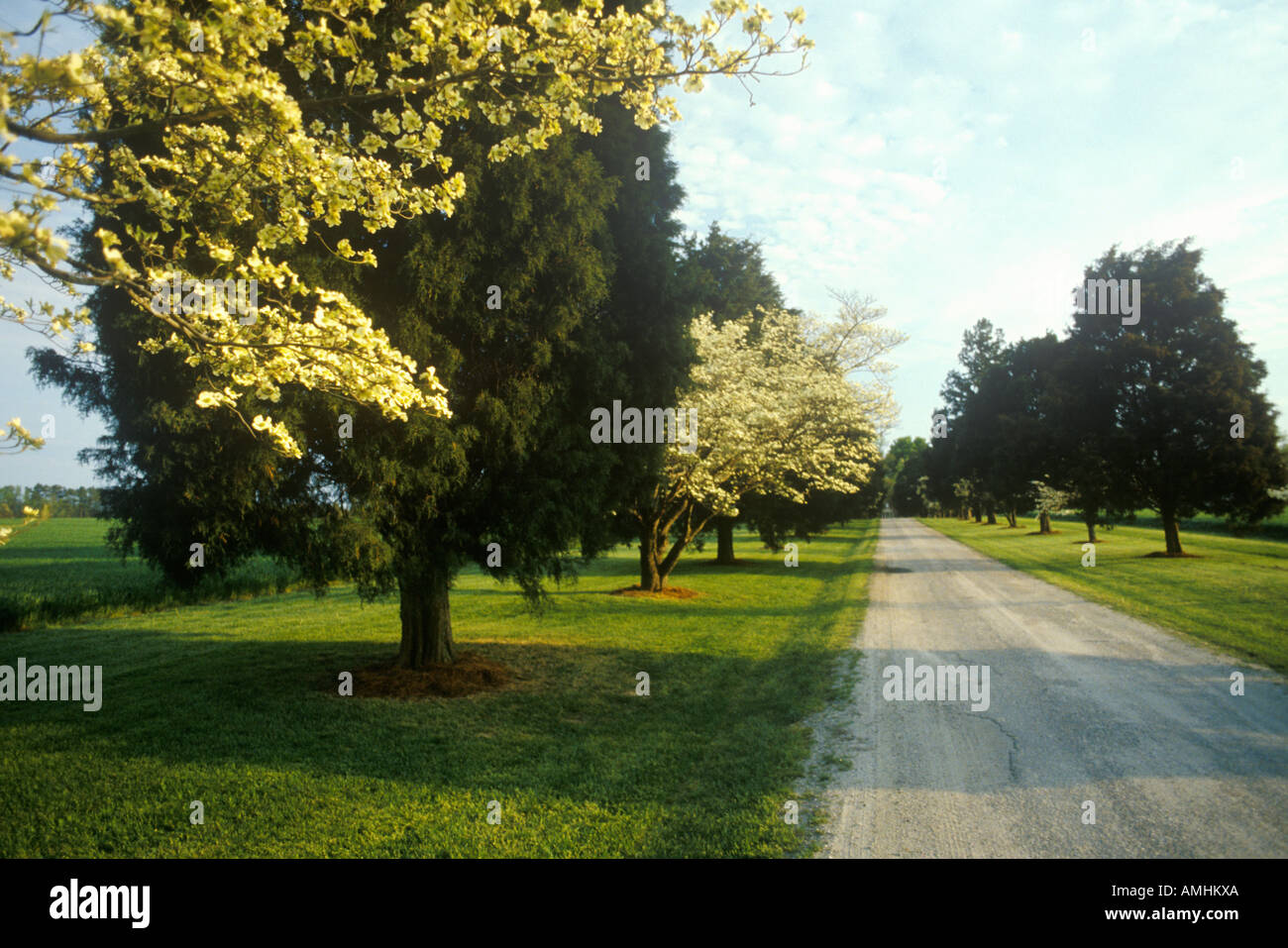 7 river road hi-res stock photography and images - Alamy