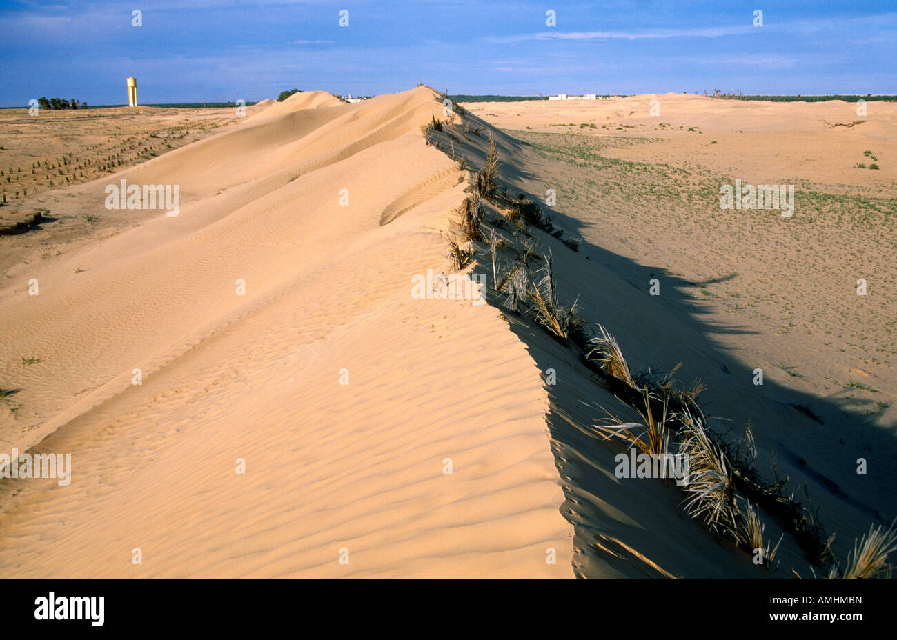 Grand erg hi-res stock photography and images - Alamy