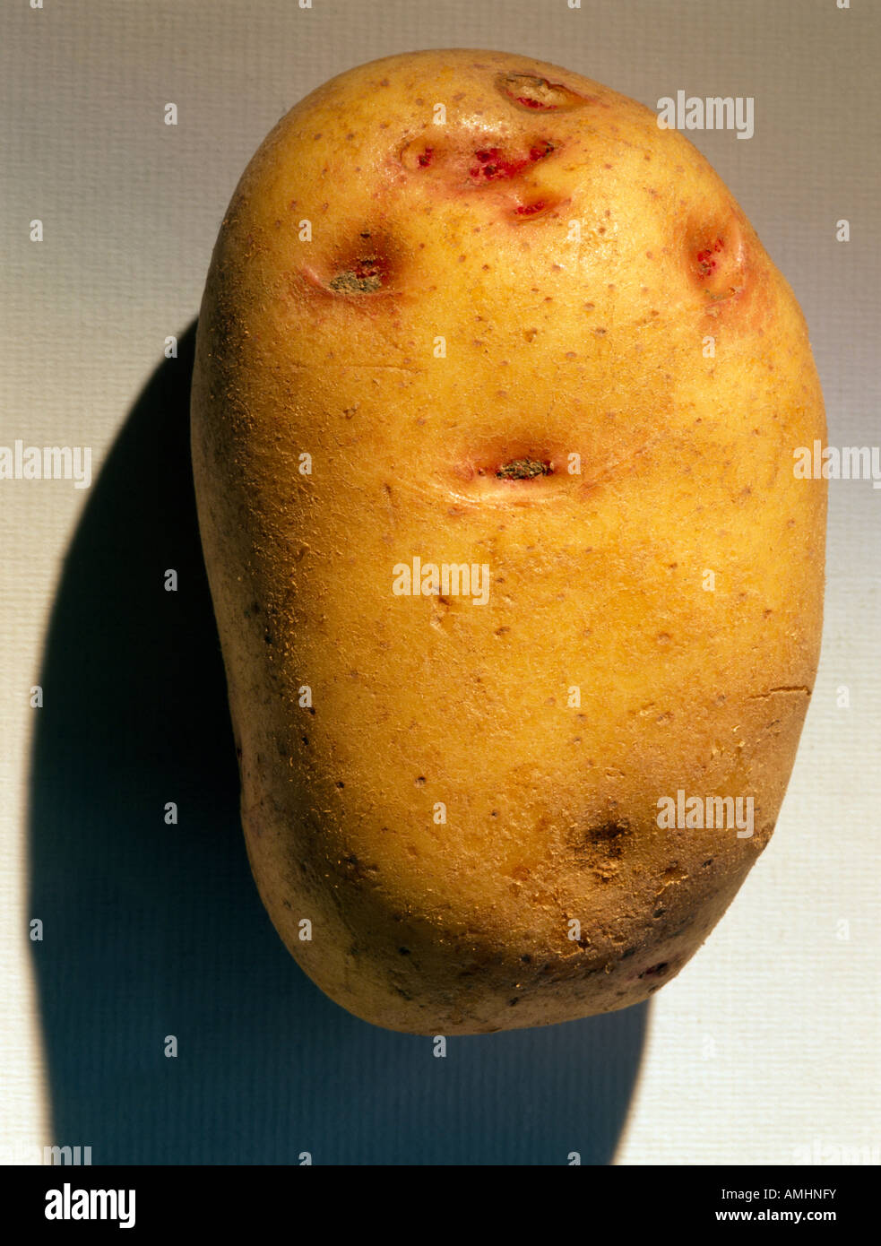 Uncooked potato hi-res stock photography and images - Alamy