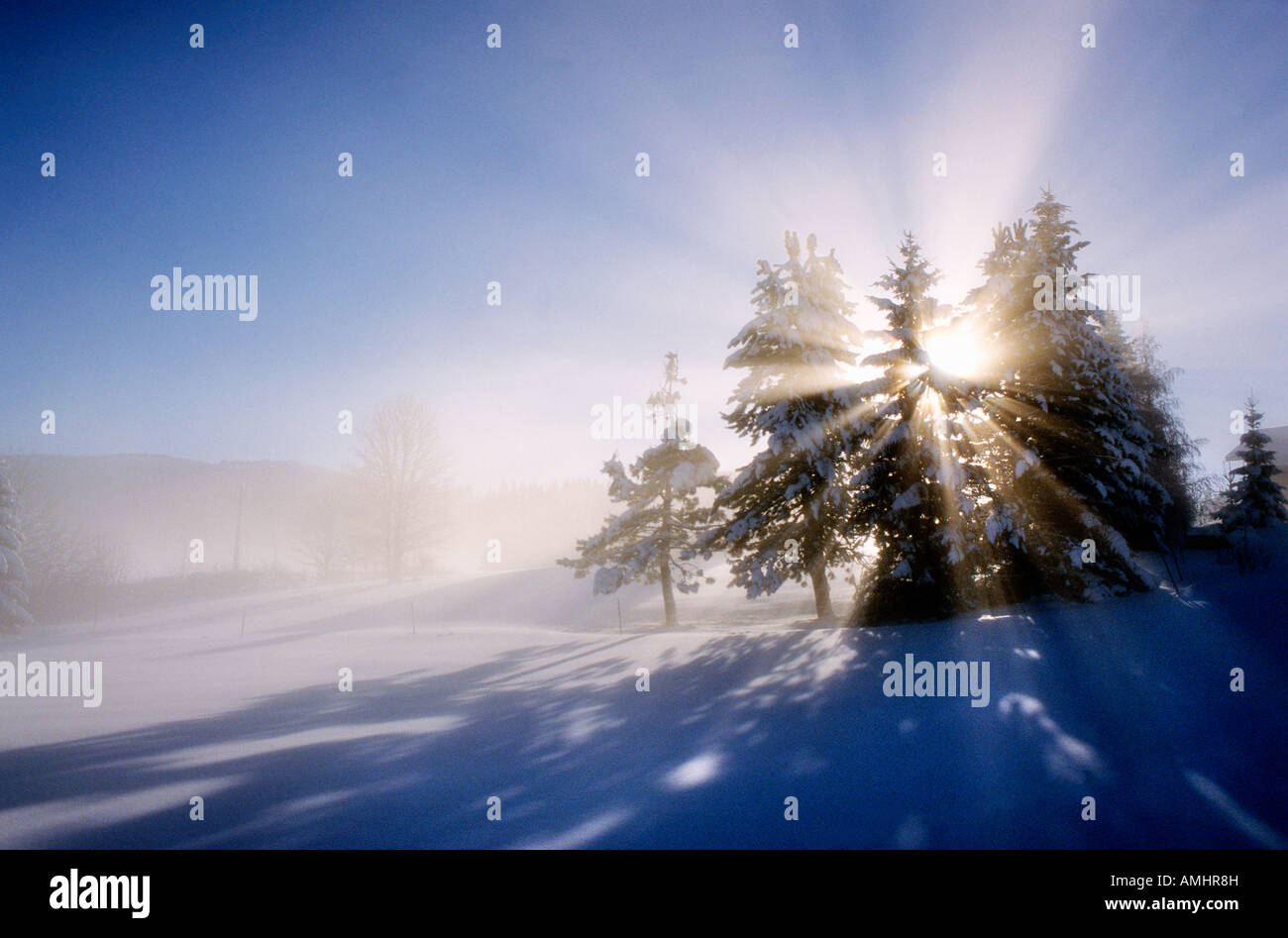 paysage de neige WINTER SCENE SWITZERLAND Alps Aeschiried Alps Bern ...
