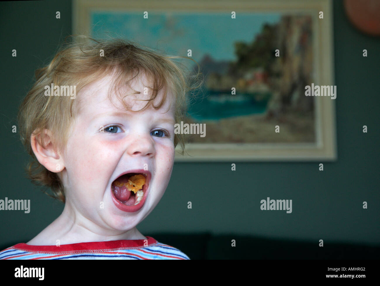 Three Year Old Boy Shows Off A Mouth Full Of Food Dorest England three-year-old-boy-shows-off-a-mouth-full-of-food-dorest-england