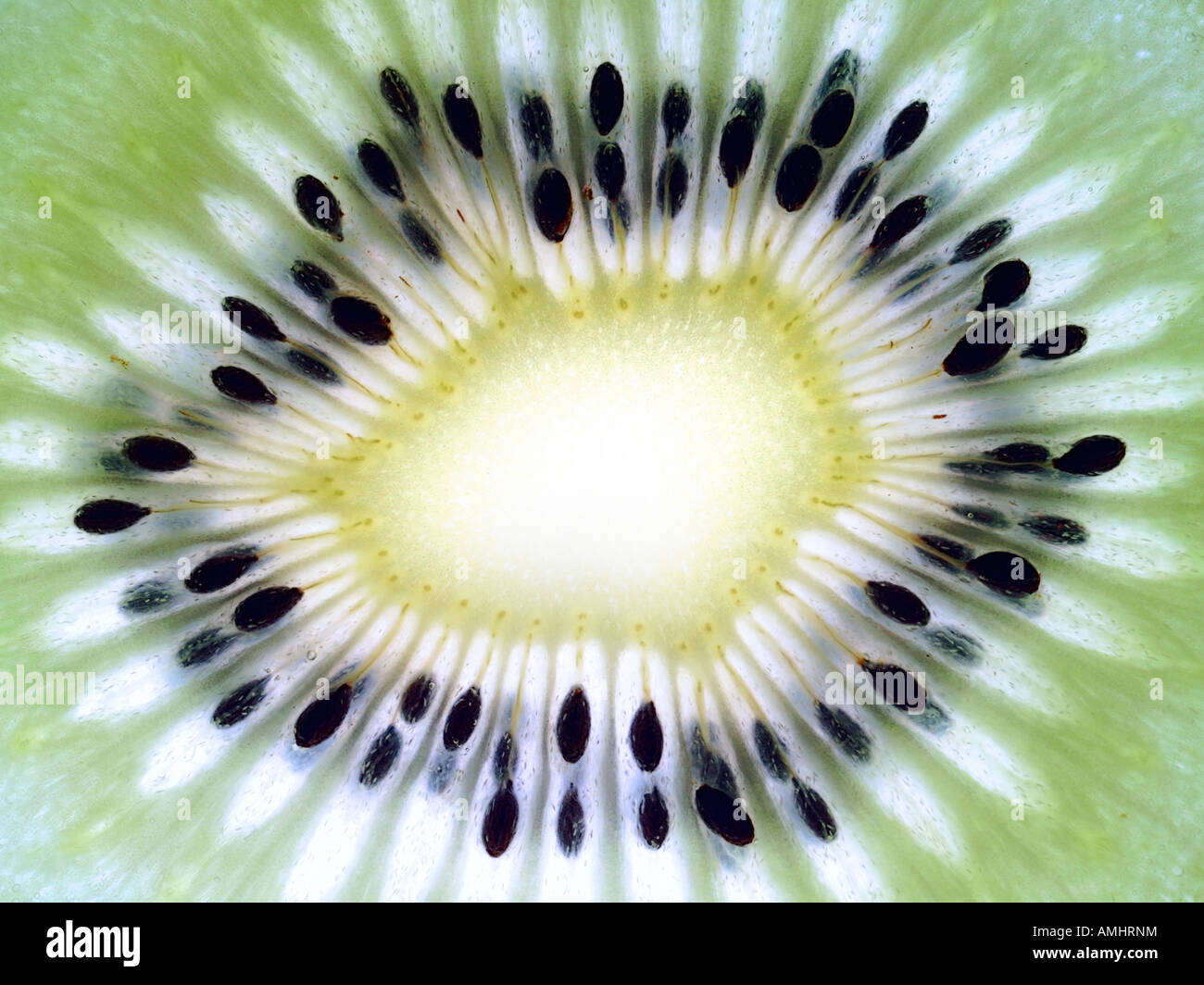 central part of a kiwi fruit Stock Photo - Alamy