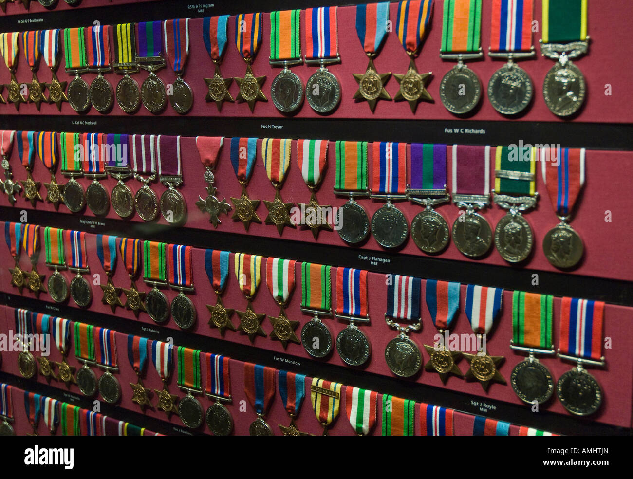 War medals on display Stock Photo - Alamy
