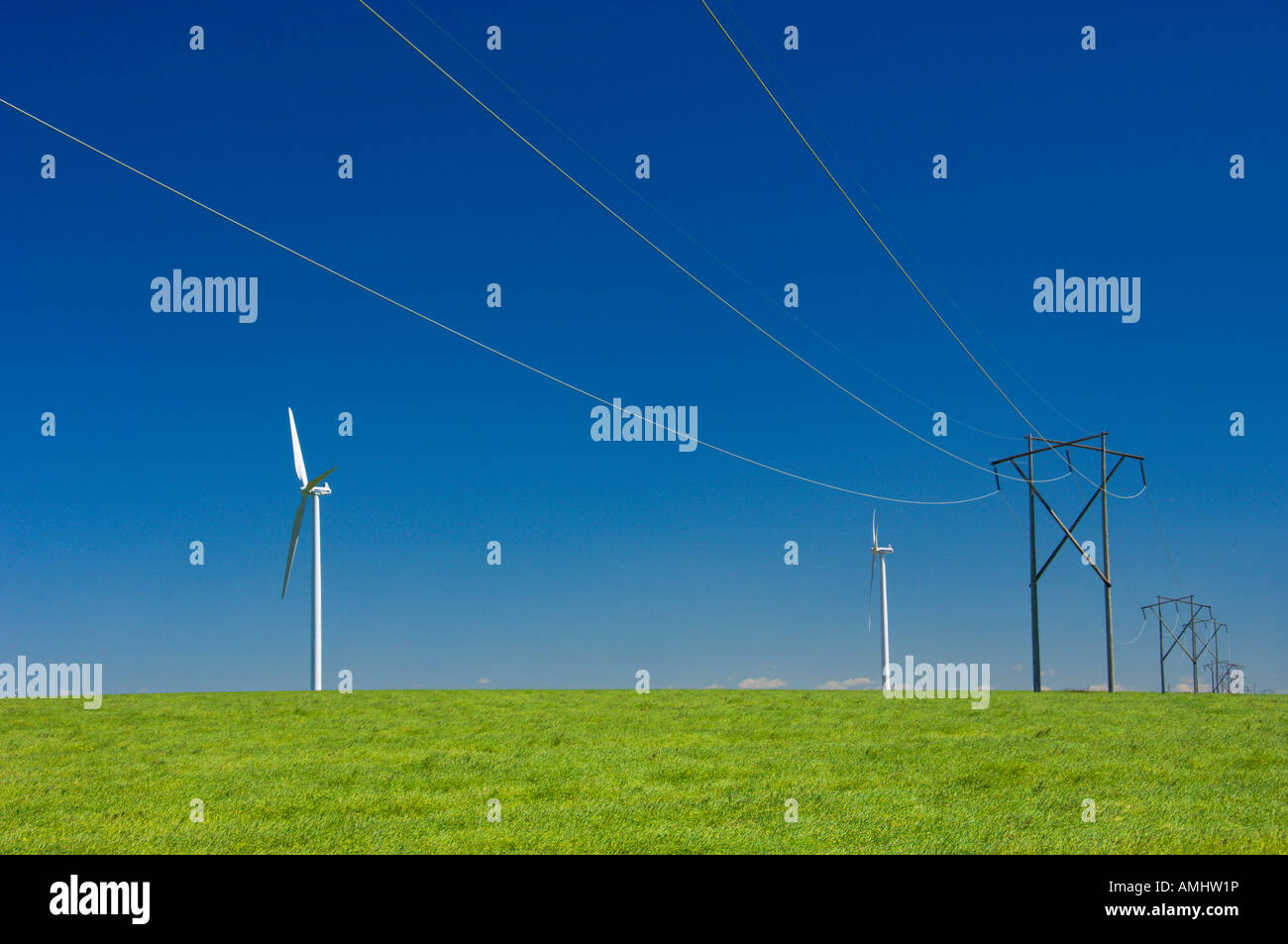 Electrical windfarm windmills with power lines near St Leon Manitoba ...