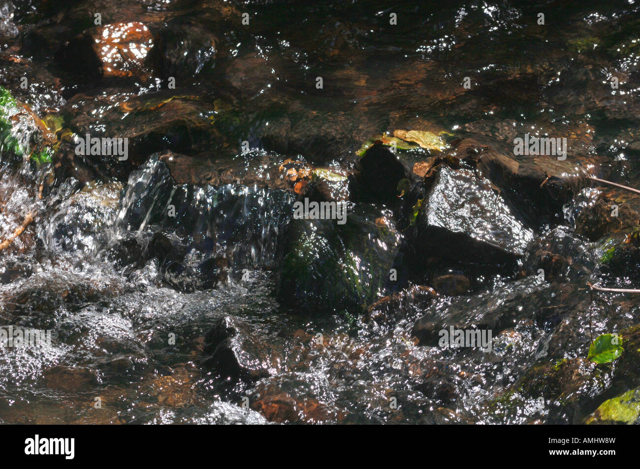 Clean freshwater hi-res stock photography and images - Alamy