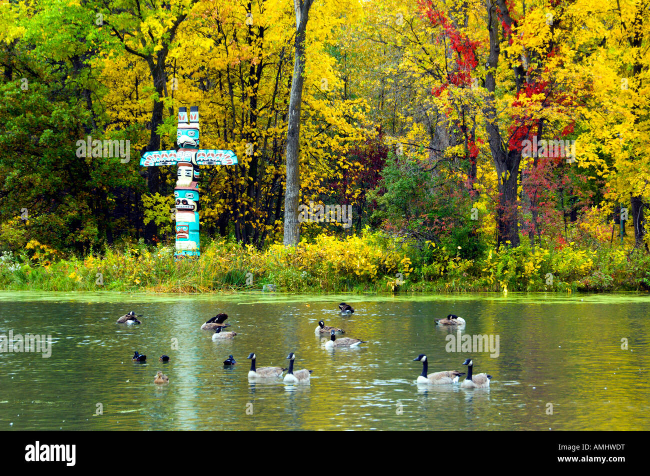 A totem pole with Canada geese in a decorative pond with fall foliage ...
