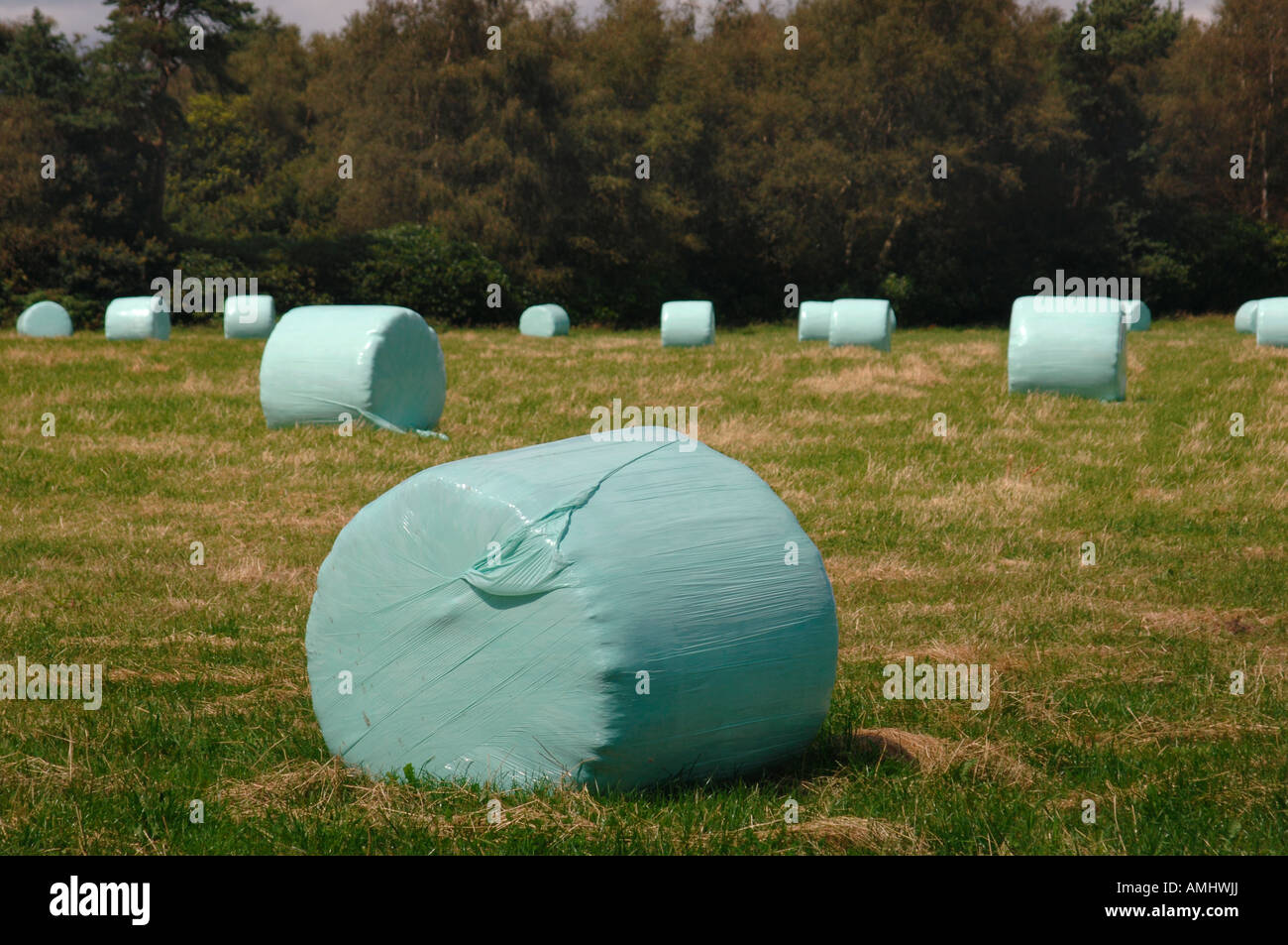 Hay Bails Placed In Polythene Covers,To Protect Them From Bad Weather ...