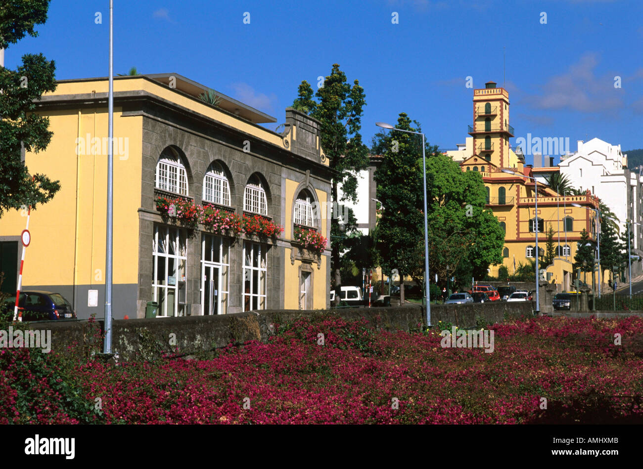 Madeira embroidery hi-res stock photography and images - Alamy