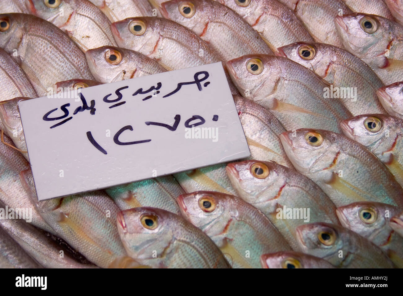 Fish on display Beirut Lebanon Stock Photo - Alamy