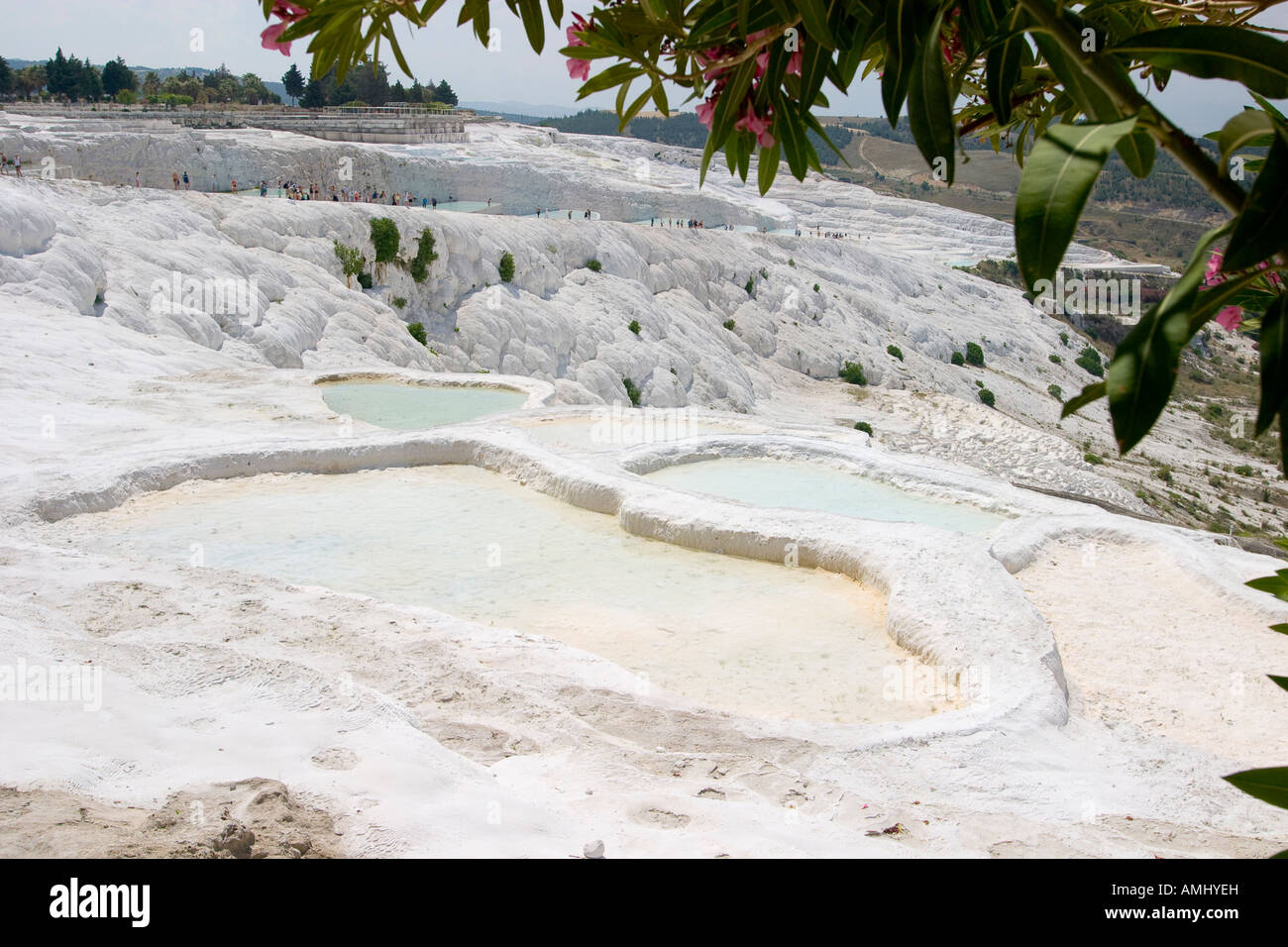 View of the travertine rocks with tourists and oleander Pamukkale ...