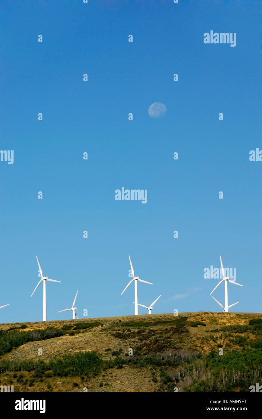 Wind powered turbine windmills in Wyoming WY Stock Photo - Alamy