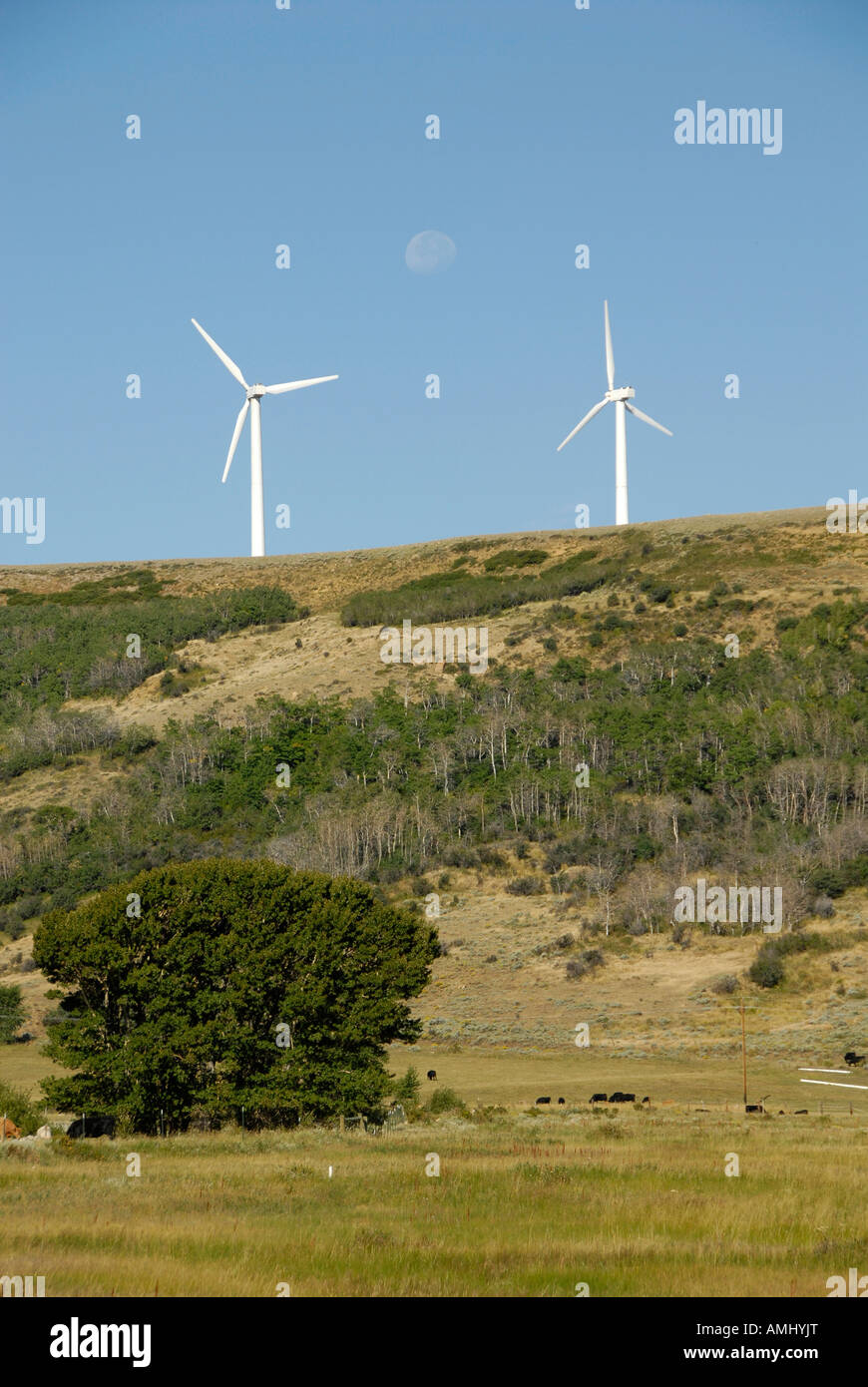 Wind powered turbine windmills in Wyoming WY Stock Photo - Alamy