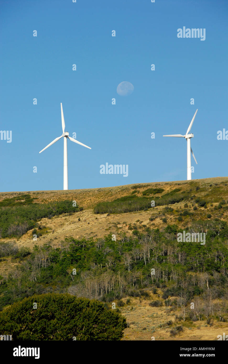 Wind powered turbine windmills in Wyoming WY Stock Photo - Alamy