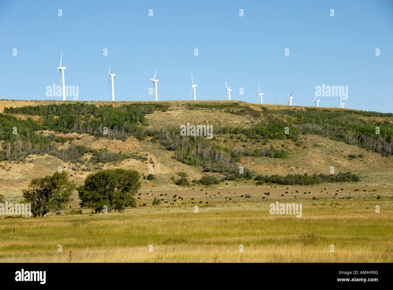 Wind powered turbine windmills in Wyoming WY Stock Photo - Alamy