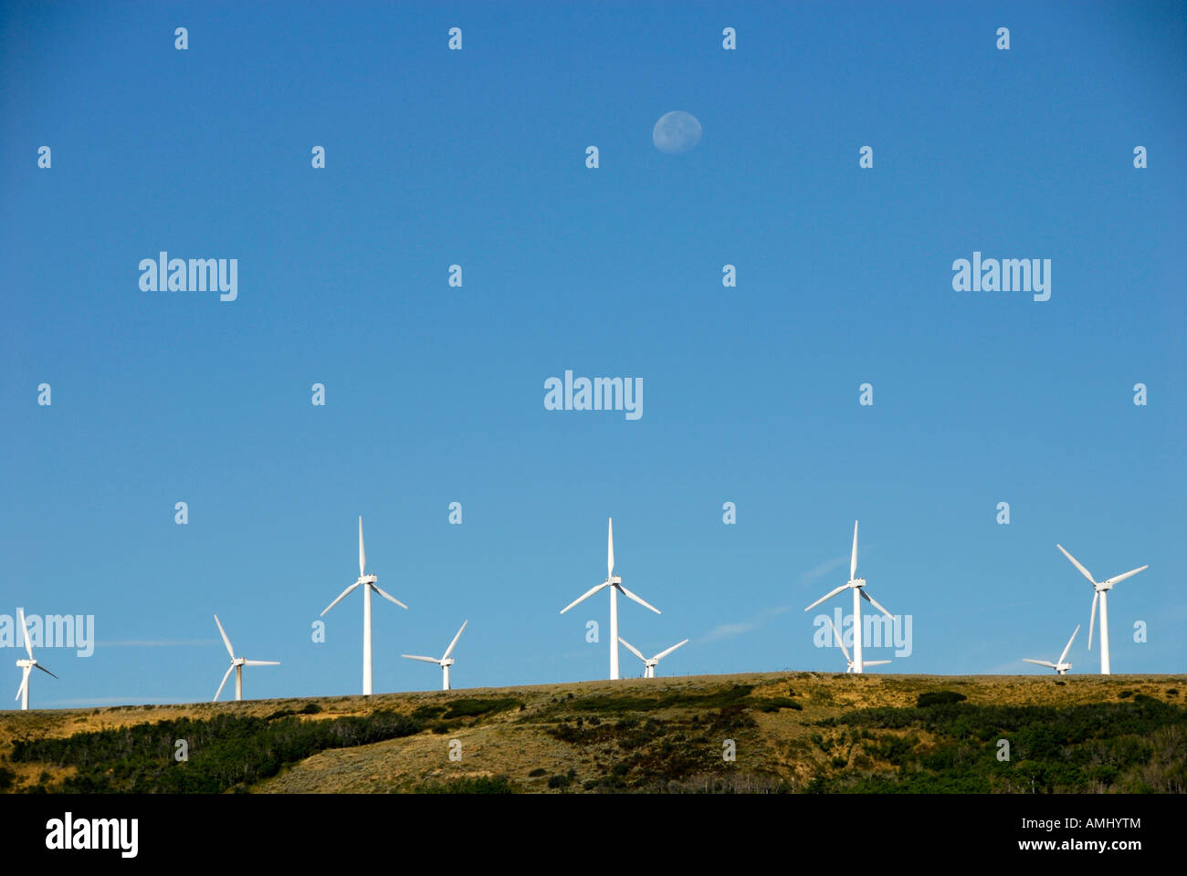 Wind powered turbine windmills in Wyoming WY Stock Photo - Alamy