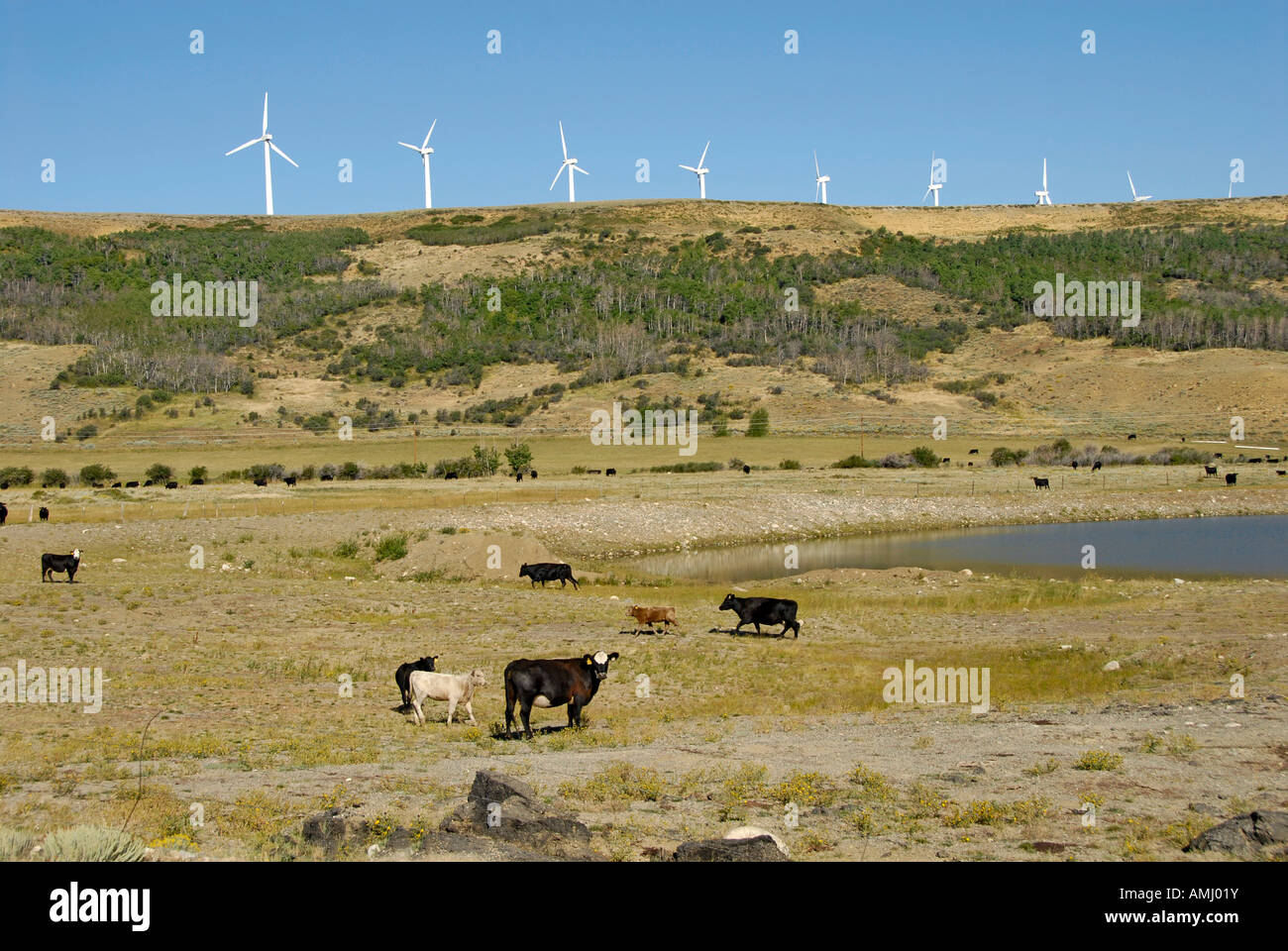 Wind powered turbine windmills in Wyoming WY Stock Photo - Alamy