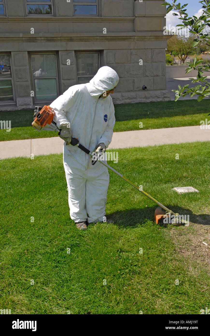 Worker wears special protective clothing while performing landscape ...