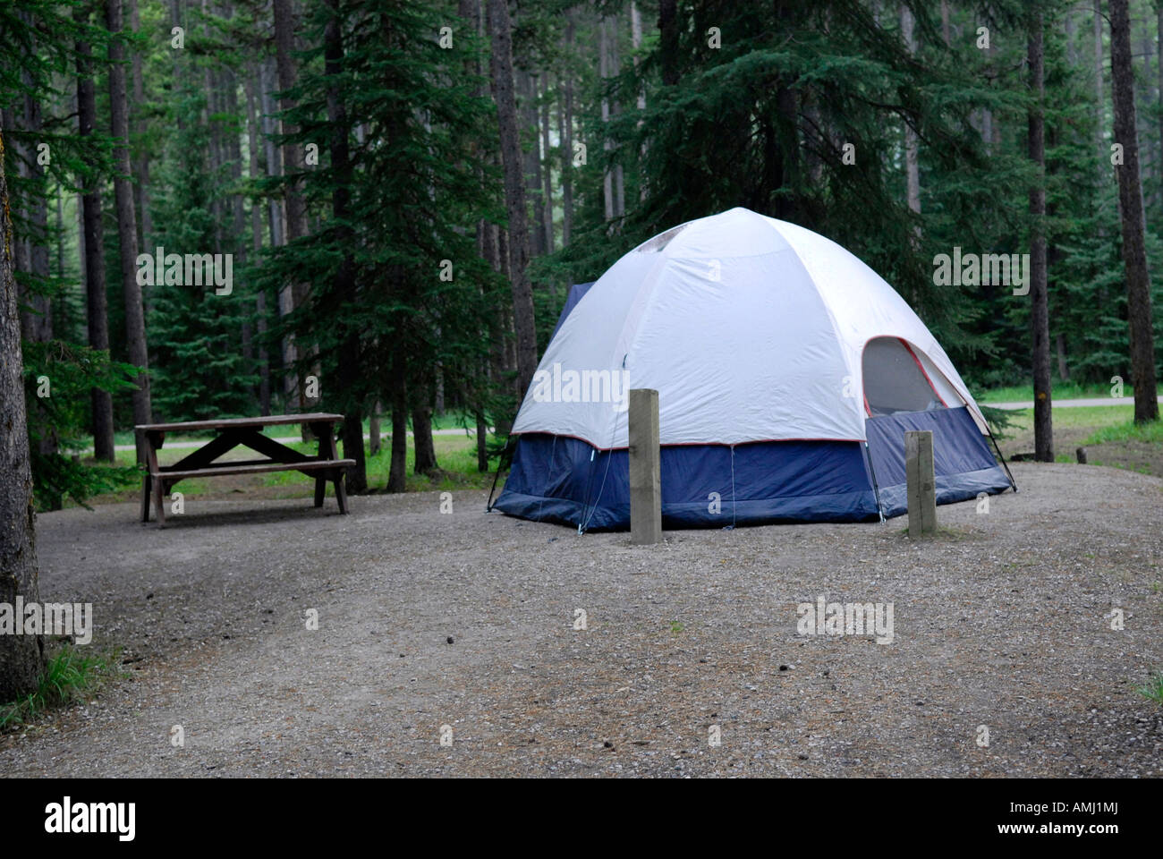 Camping Banff National Park Alberta Canada Canadian Rockies Canadian ...