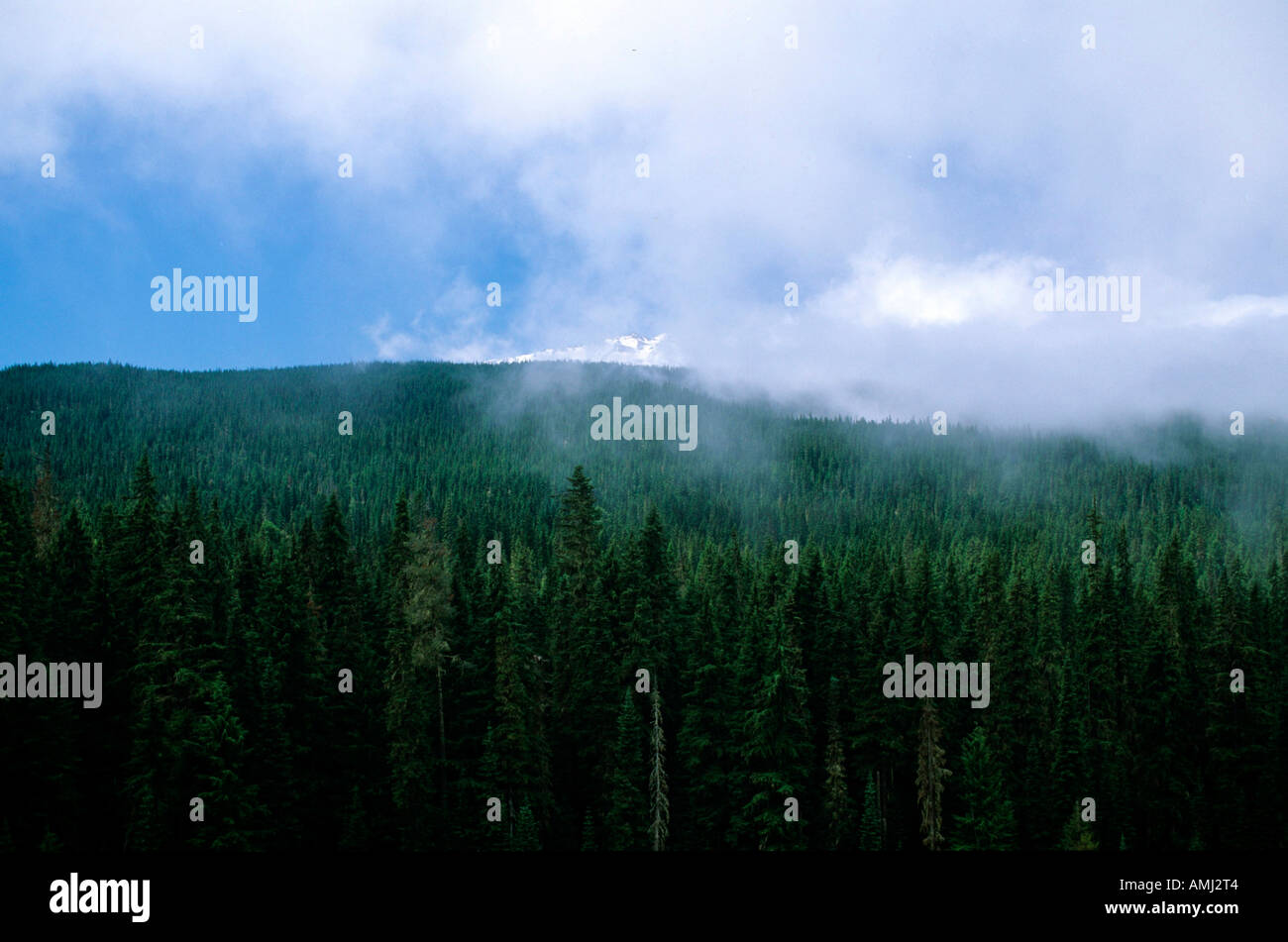 USA, Oregon, Diamond Peak in der Diamond Wilderness Stock Photo - Alamy