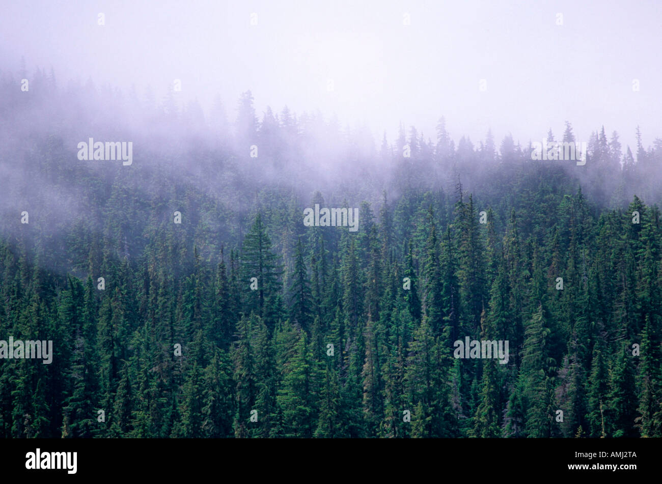 USA, Oregon, Diamond Peak in der Diamond Wilderness Stock Photo - Alamy