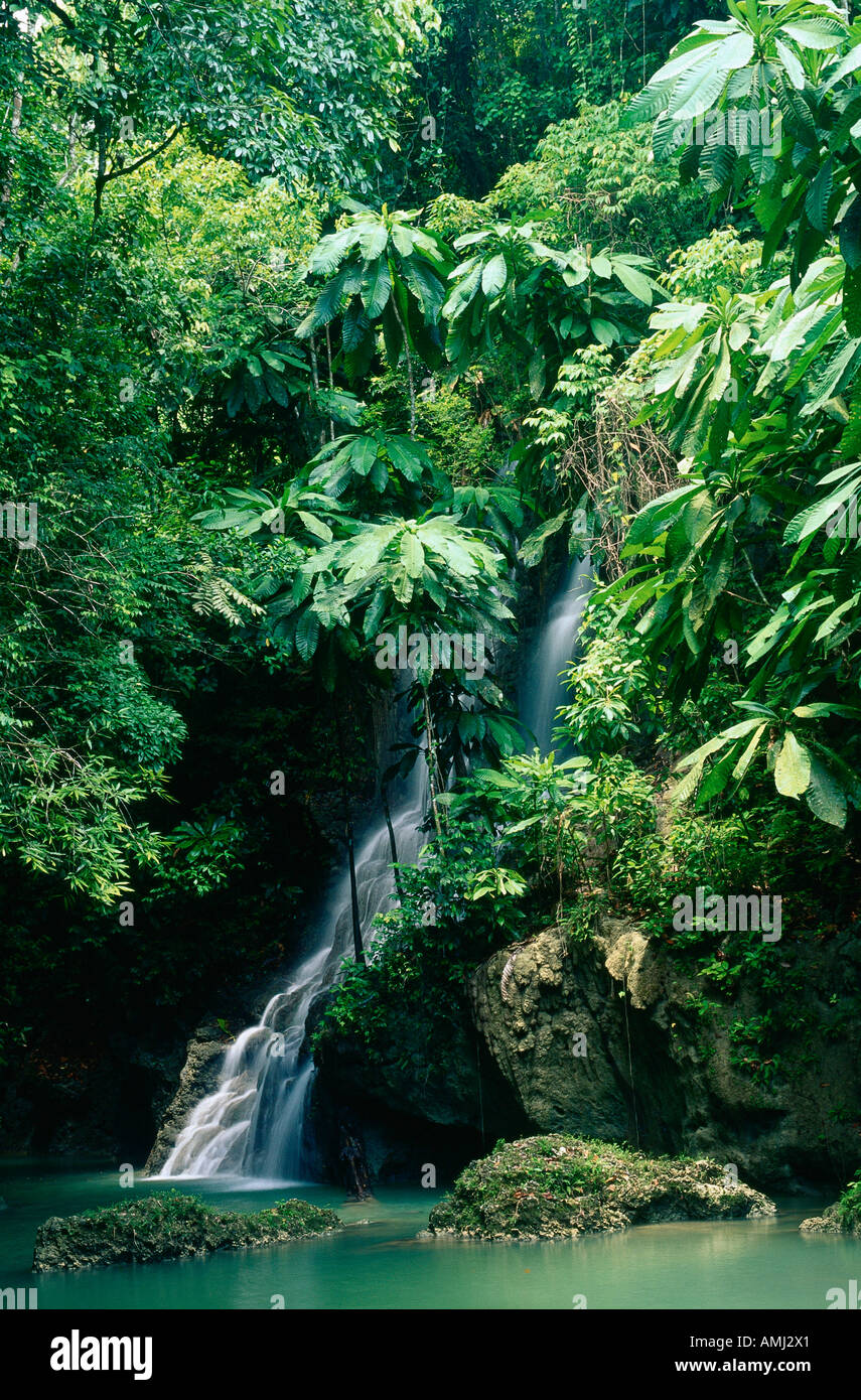 Somerset falls jamaica hi-res stock photography and images - Alamy