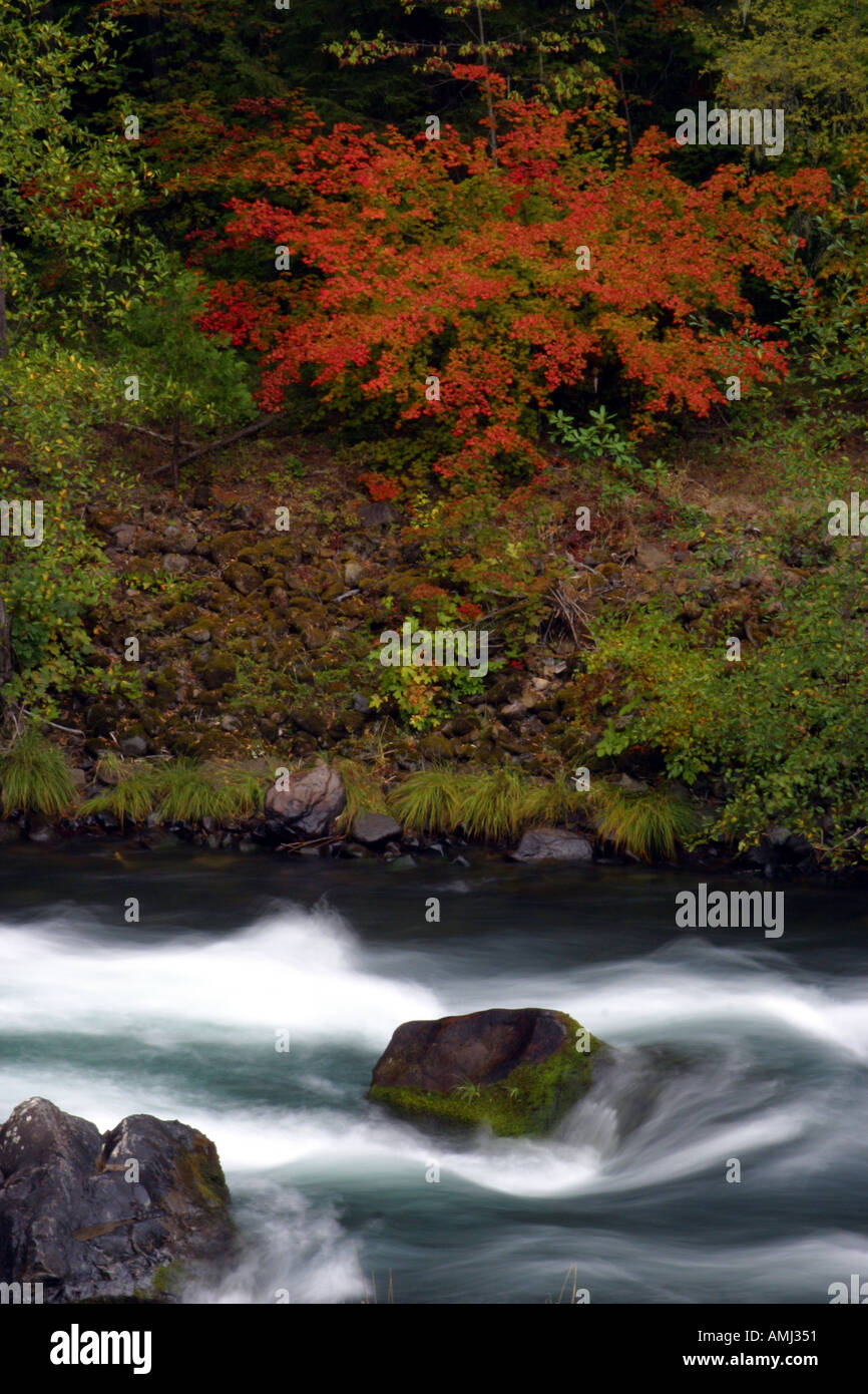 Rogue river oregon fall hi-res stock photography and images - Alamy